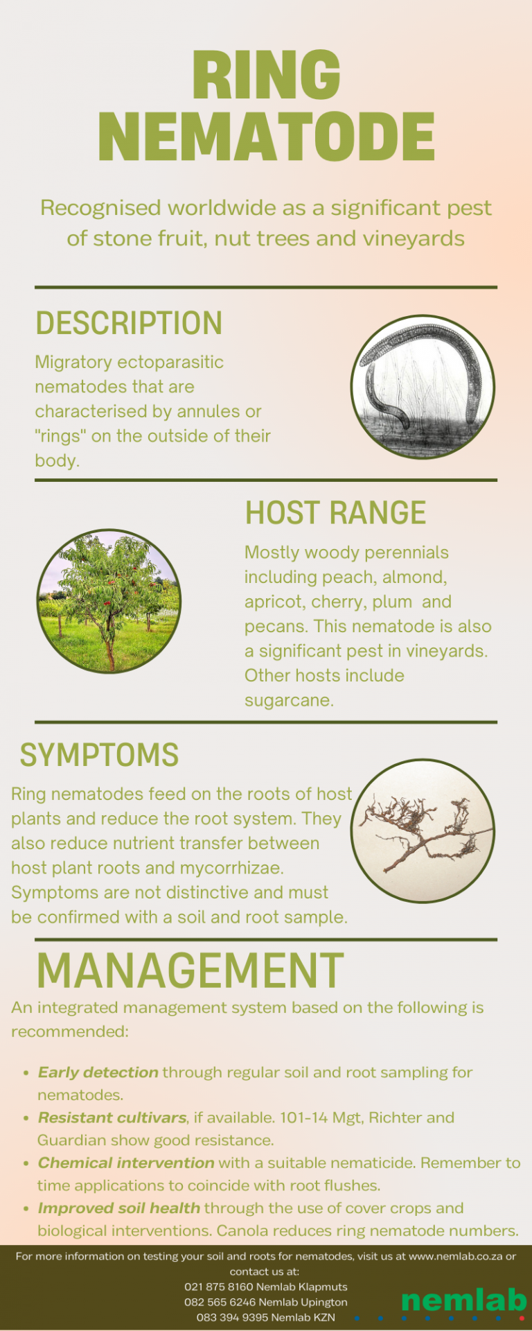Ring nematode – nemlab