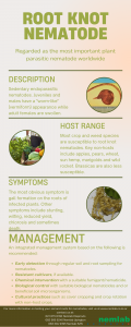 Root knot nematodes – nemlab