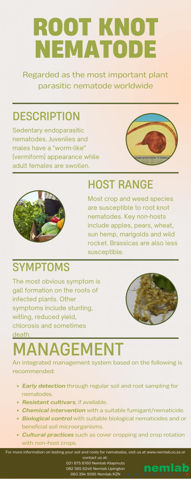 Root knot nematodes – nemlab
