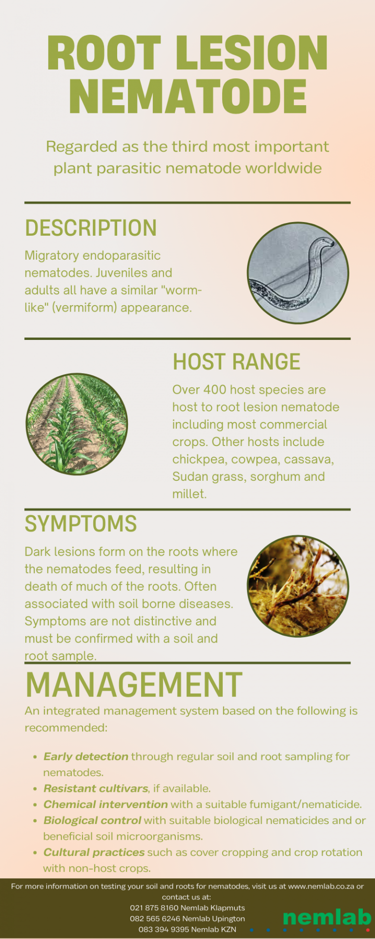 Root lesion nematode – nemlab