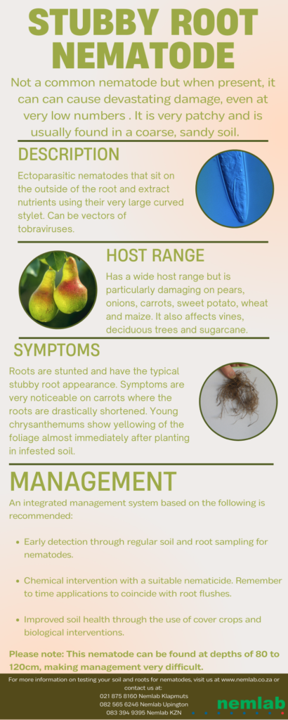 Stubby root nematode – nemlab